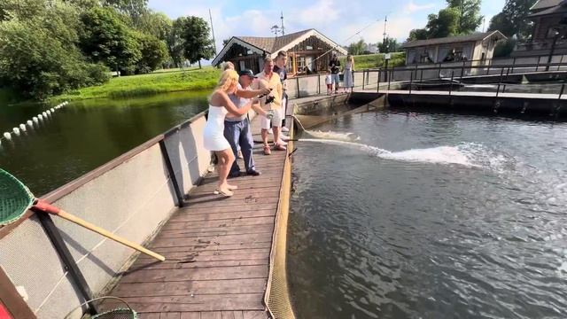 Ловим рыбу. Часть 1