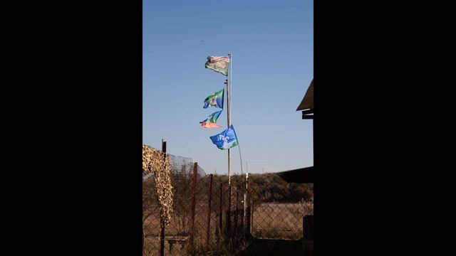 Состязания норных по барсуку   ИПС "Московская", 17-18.10.2015