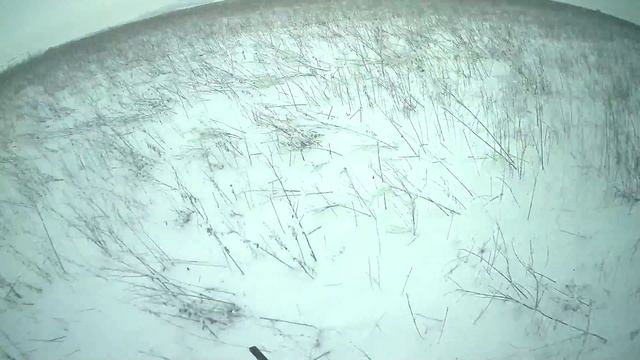 Как меня зайка кружил.