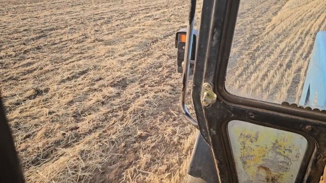 По технологии Всевышнего: "Природа не пашет, она только сеет и это правильно и хорошо". 👍.