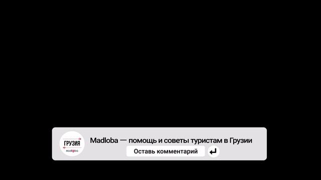 🐱 Чипирование в Грузии: что нужно знать владельцам