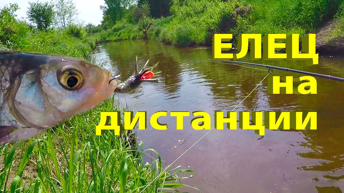 Ловля ельца на дистанции мокрой мушкой. Ловим на kebary.