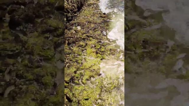 Отлив на пляже Алона Бич остров  Панглао