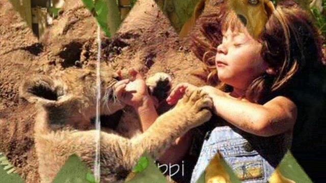 Просто шутка