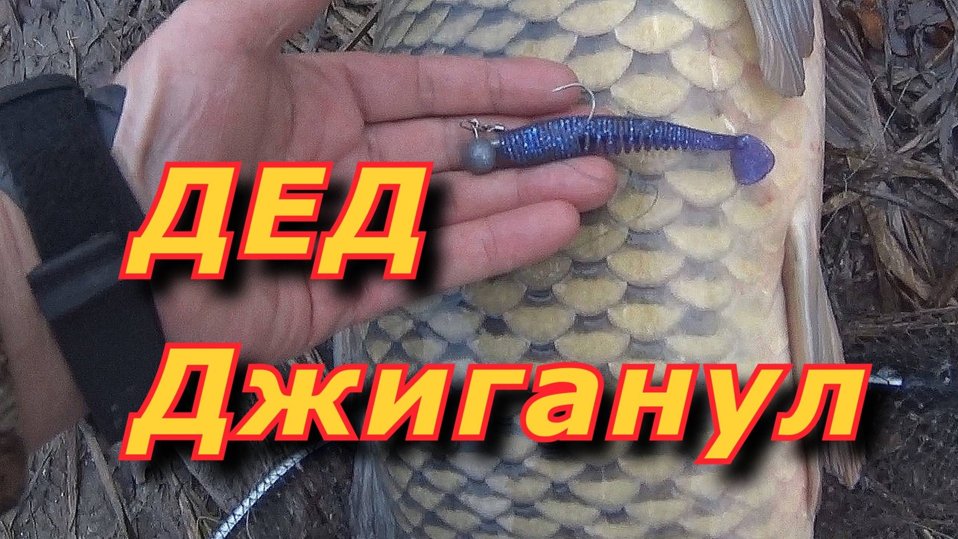 Карп на СПИННИНГ С БЕРЕГА .  РЫБАЛКА ПО ОТКРЫТОЙ ВОДЕ .Северский донец на джиг