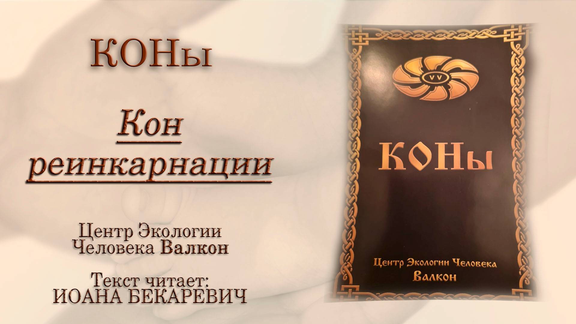 Кон реинкарнации | КОНы | Центр Экологии Человека Валкон | Татьяна Бекаревич