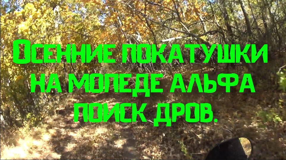 Осенние покатушки на мопеде альфа, поиск дров.
