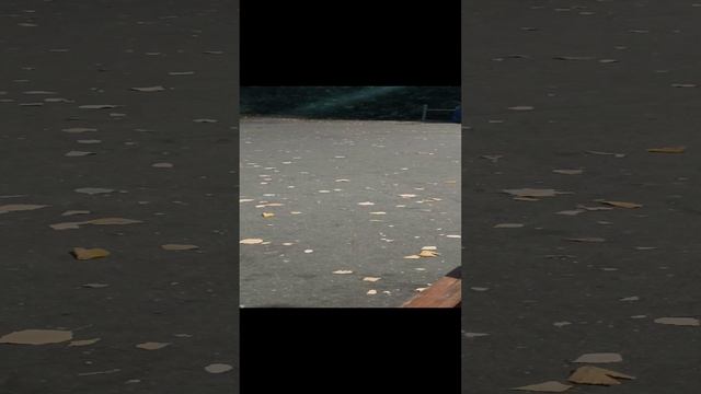 ест козявки🤣🤣🤣🤣🤣🤣