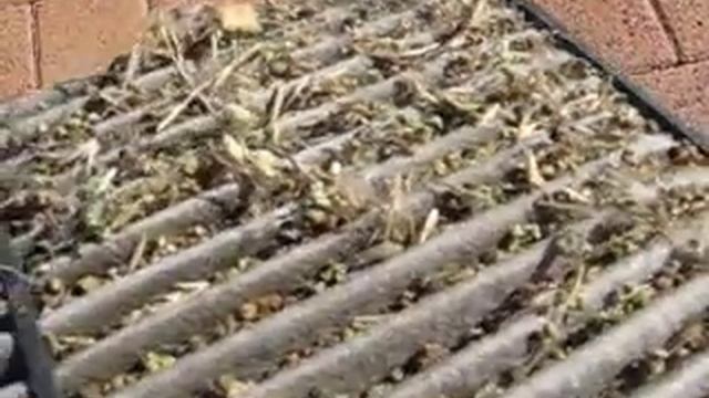 Воздушный фильтр после поездок на охоту.