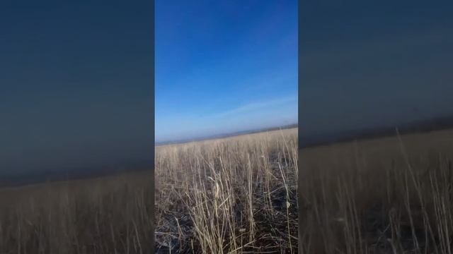 Мысли в слух 1# "Организация пересчета"