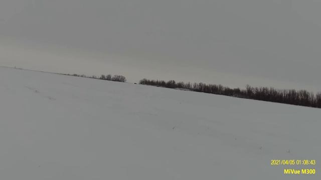 Охота на зайца по белой тропе