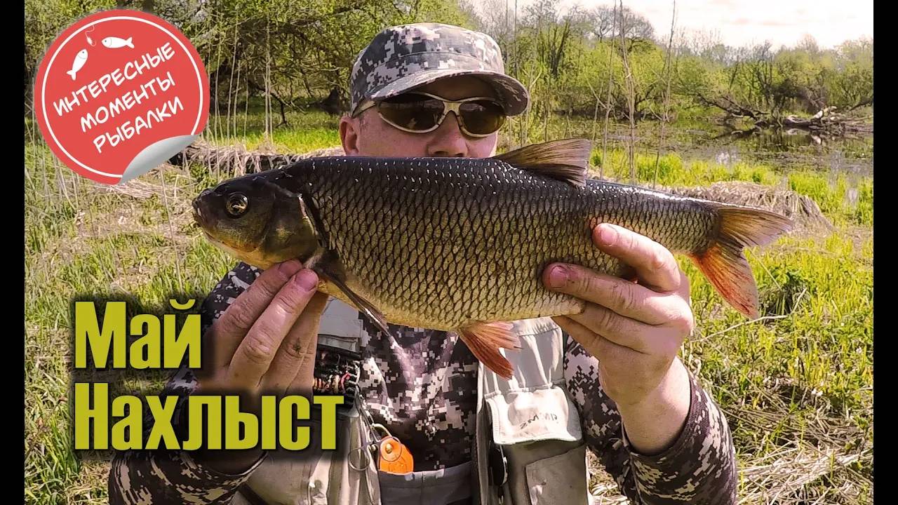 Ловля нахлыстом весной. Первые рыбалки. Начало сезона.