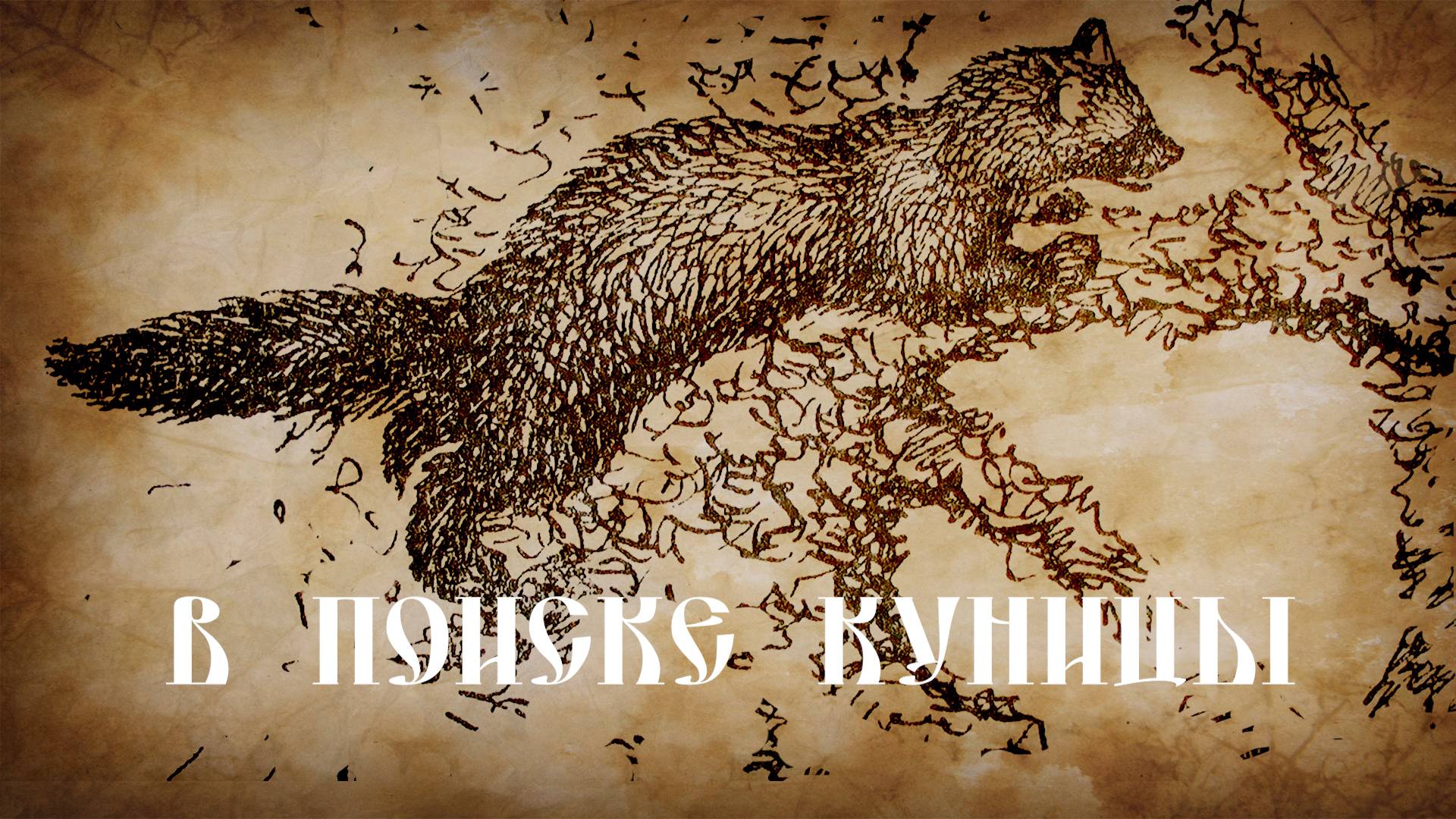 В поиске куницы