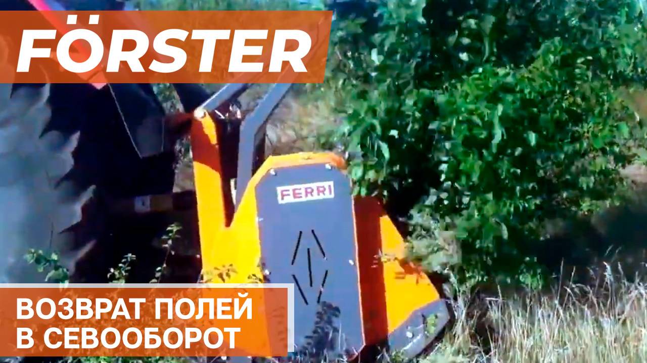 Расчистка заросшего поля - мульчер Forster Heavy