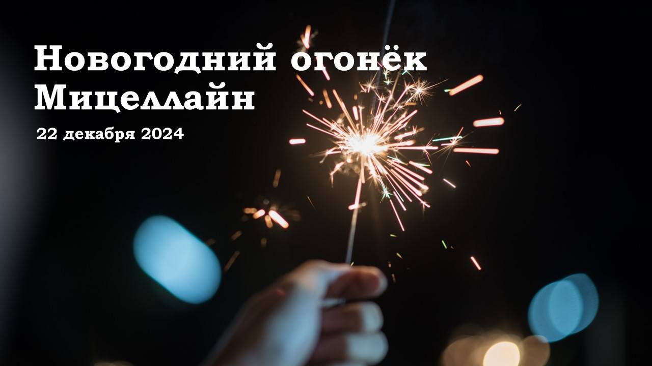 Новогодний огонек Мицеллайн. 22.12.2024