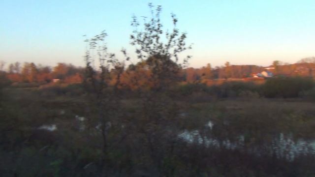 Осенний покос Покраска деревьев