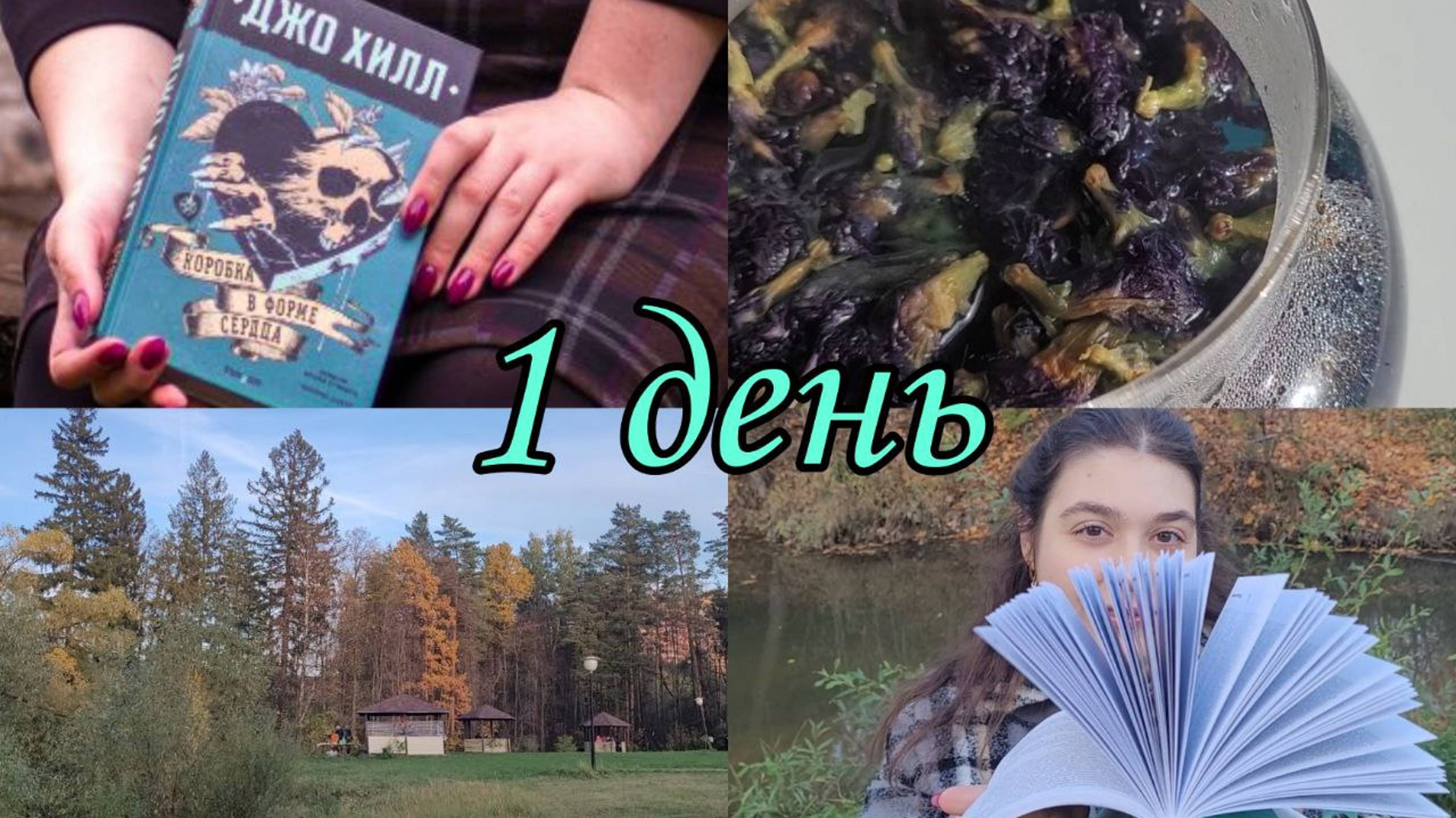 ЖУТКИЙ КНИЖНЫЙ МАРАФОН ДЕНЬ 1"КОРОБКА В ФОРМЕ СЕРДЦА" ДЖО ХИЛЛ