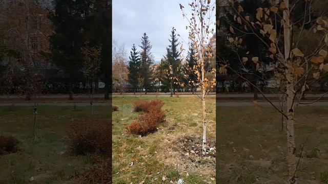 Осень... стихи