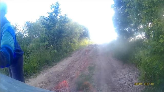 БАРС  И ГЕПАРД