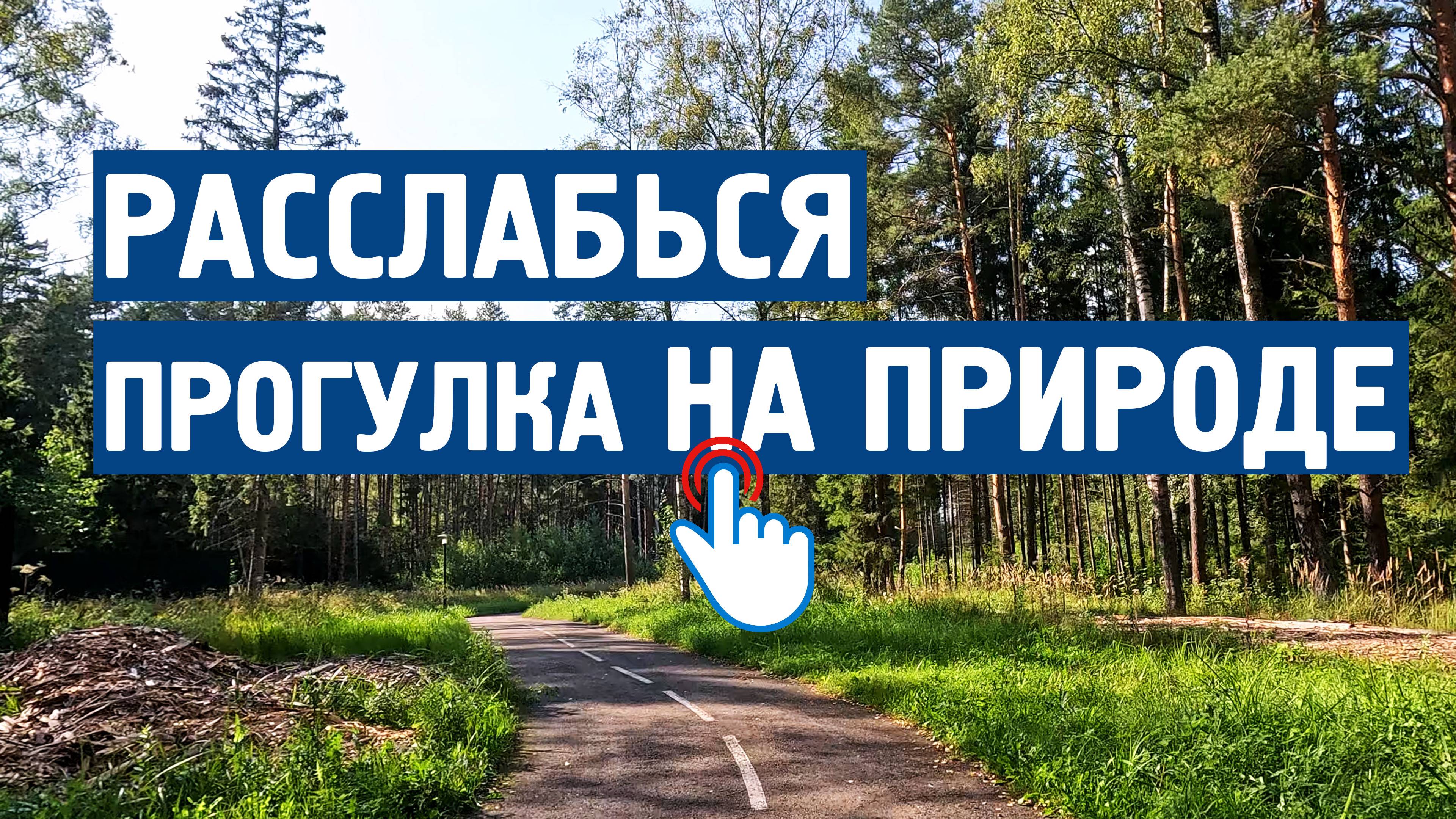 Расслабься : Прогулка на природе \ Музыка от стресса,тревоги,спокойная, для души, без слов.