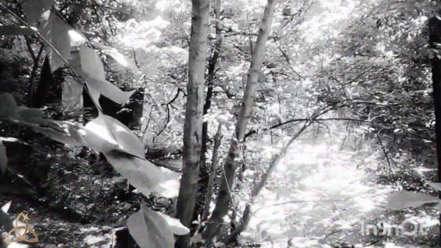 Рекурсия / Apparat - Goodbye