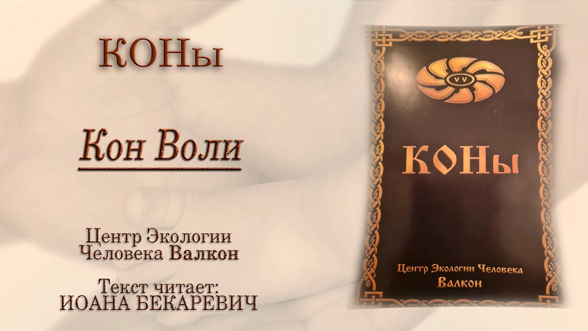 Кон Воли | КОНы | Центр Экологии Человека Валкон |Татьяна Бекаревич