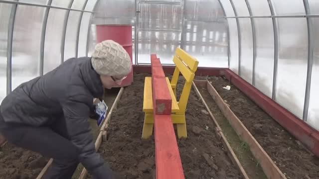 6 соток 17 января 2020 год. О страхе, мужестве и дачных радостях!