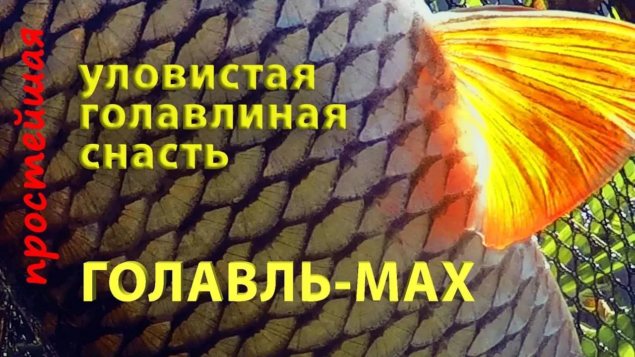 Как поймать голавля на малой реке. Простейшая уловистая снасть "голавль-мах".