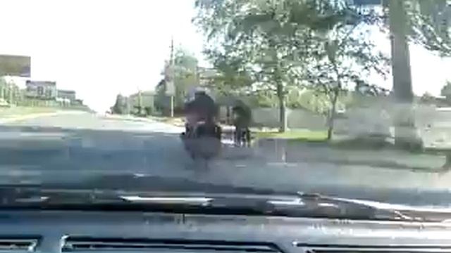 Пассажир[1].mp4