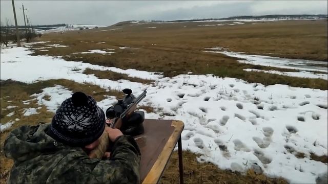 Тест пуль 223Rem, SP, 4гр, "Барнаул" по воздействию на различной дистанции.  #223Rem #Барнаул #SP