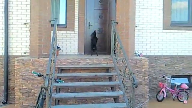 Мотя "дурку гоняет"