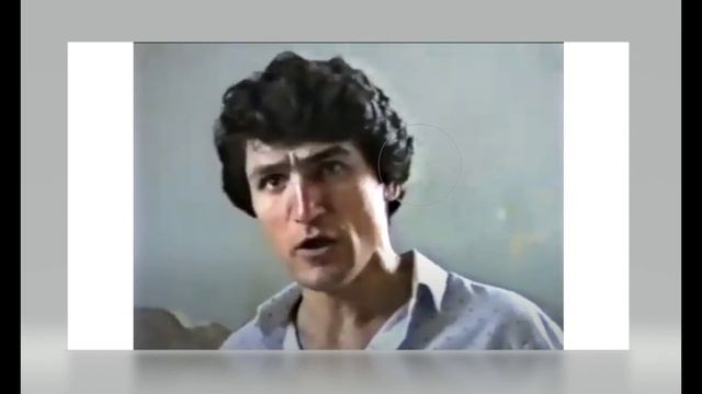 Звери мои родные звери.