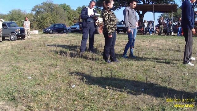 Ягдтерьеры #3