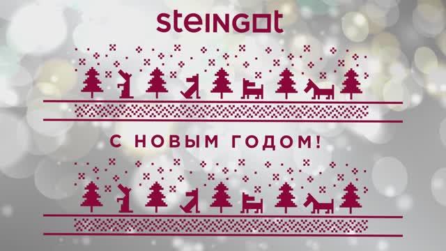 Новогоднее интервью с официальными дилерами Steingot