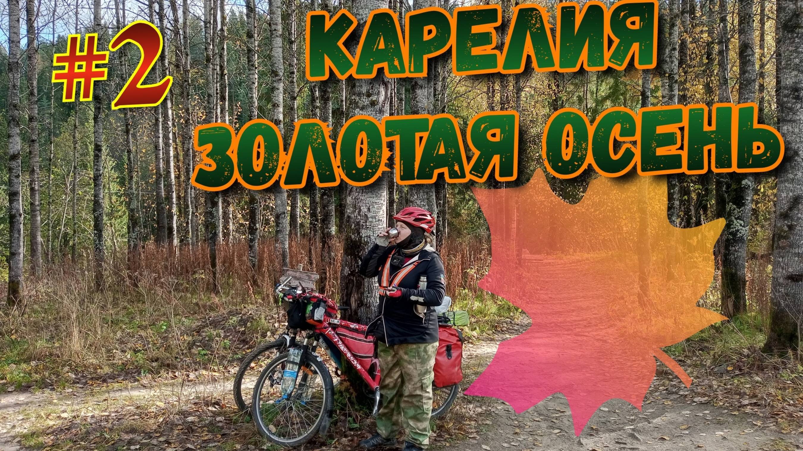 #2. Велопоход. Карелия. Золотая осень 🍁 🚴_♀️🏕️🍂.День 2. 30.09.24