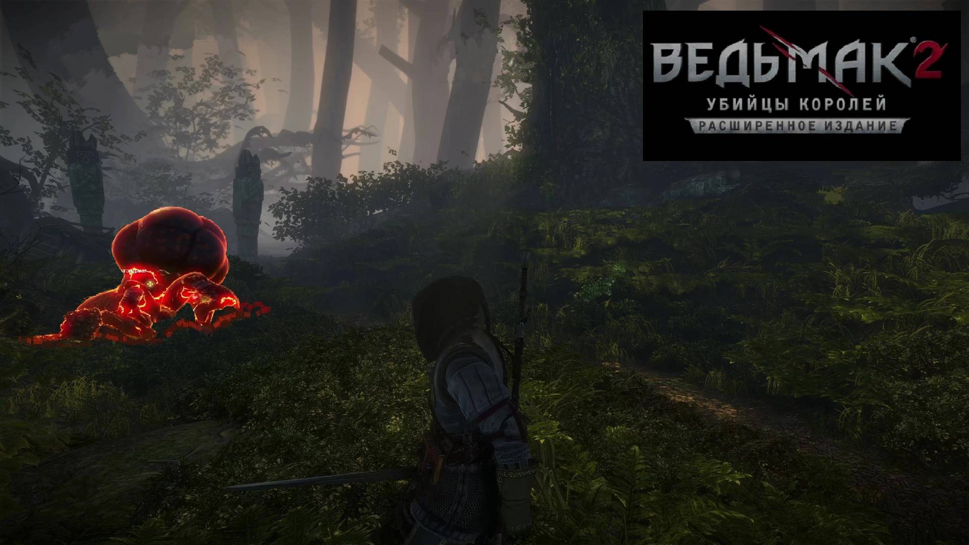 The Witcher 2. Убийцы королей. # 7. Королева Эндриаг 2.Лоредо.(Темный)#thewitcher2#ведьмак2