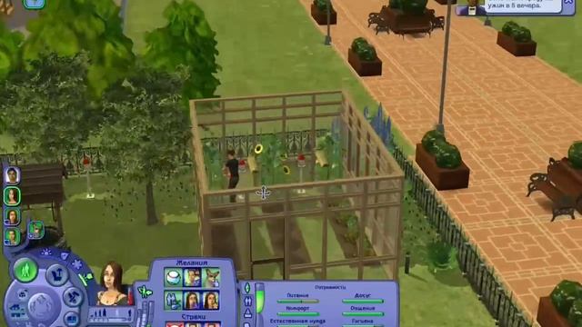 The Sims™ 2 /династия Дарси /2 поколение / #70 - день рождения, сорняки и частная школа ...