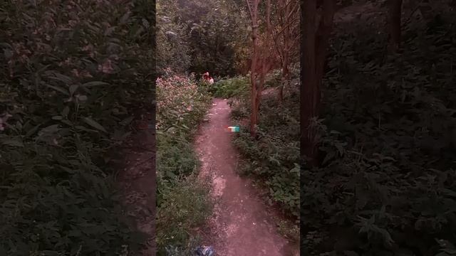 Alenina - 12345 сниппет #shorts #phonk