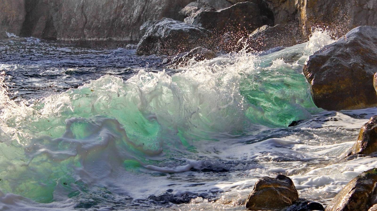 Волна океана масляными красками