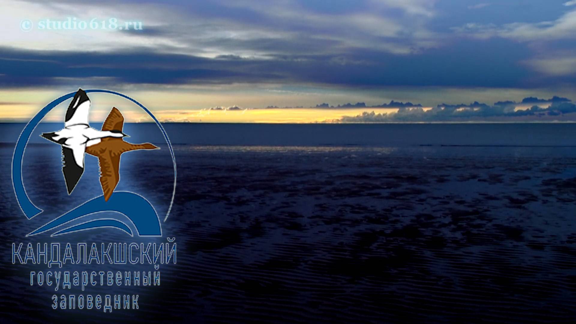 Кандалакшский морской природный заповедник. Терская инспекция. Мыс Турий Белого моря.