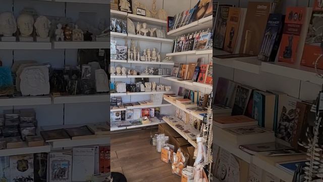 Кошки в Турции...)))) (Cats in Turkey))) #shortsvideo #cat #turkey