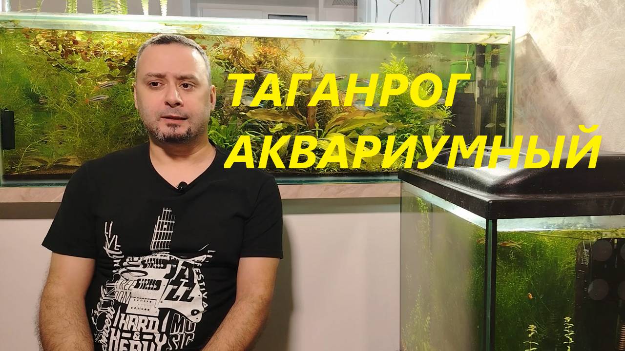 Аквариумный Таганрог