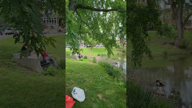 Big Garage Sale on Glebe and sorry for my English, I'm just learning!)