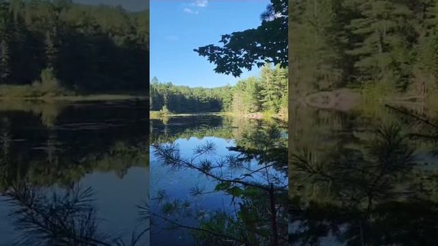 Семья -это .....