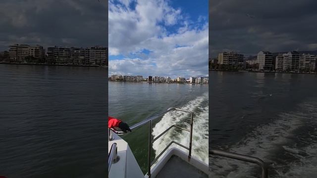 Турция, город Измир, Ноябрь 2023 (Small pleasures))) Izmir, Türkiye, November 2023).