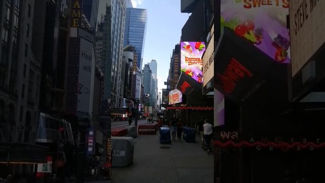 NY, USA, September 2024.