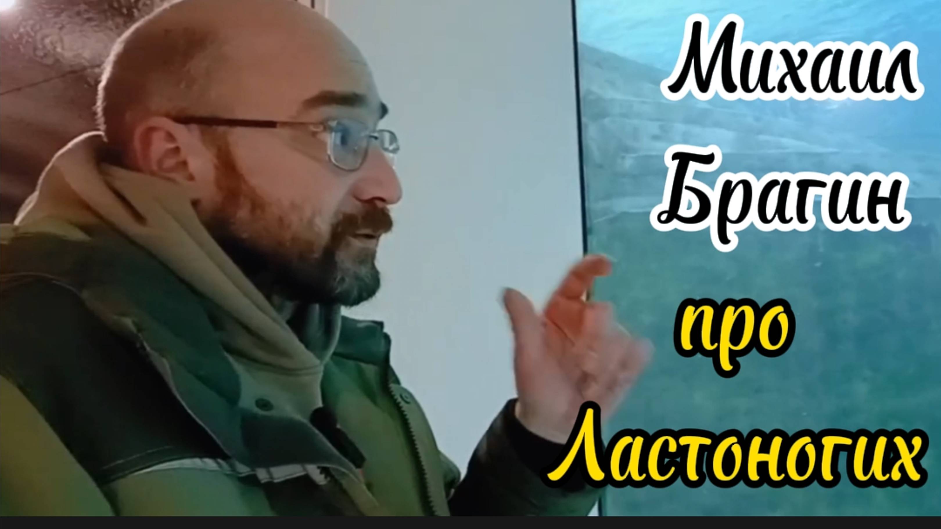 Михаил Брагин о ластоногих