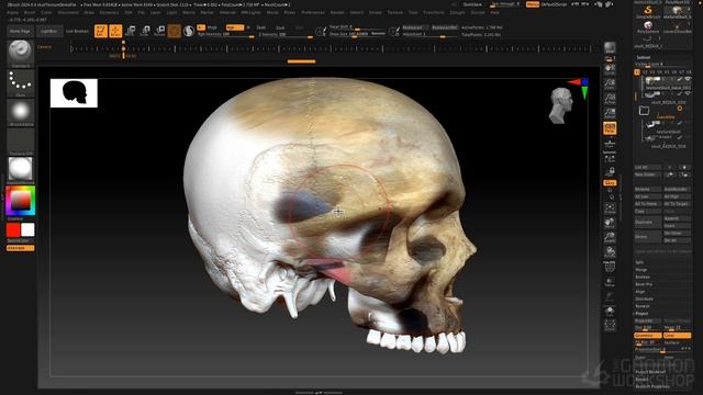 36 - Projecting Photo Reference With Polypaint