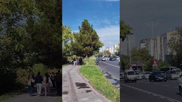 Ташкент — город южный