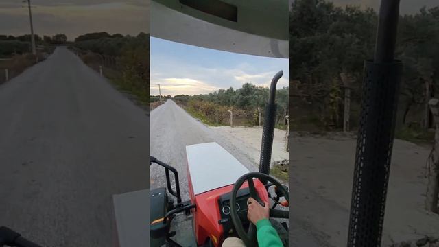 Домой на тракторе после уборки оливок, Дикили, Турция, ноябрь 2023.